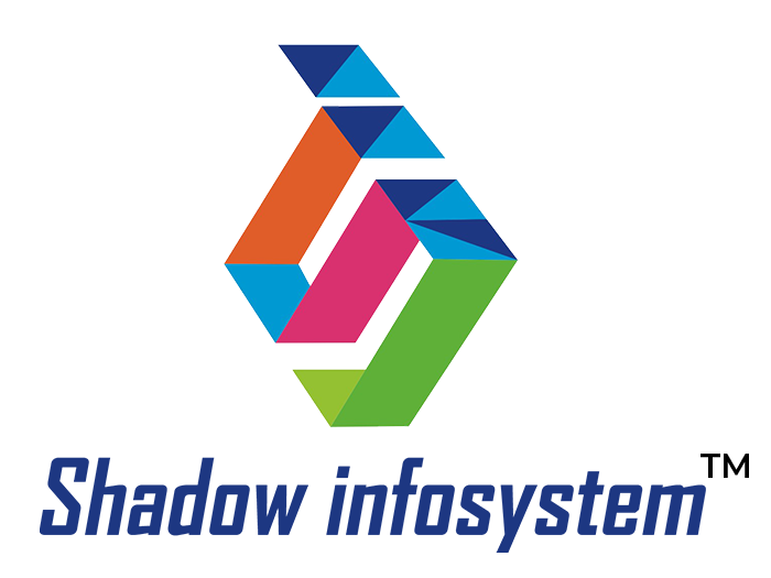 About us | Top Digital Marketing Agency in Noida - Shadow infosystem