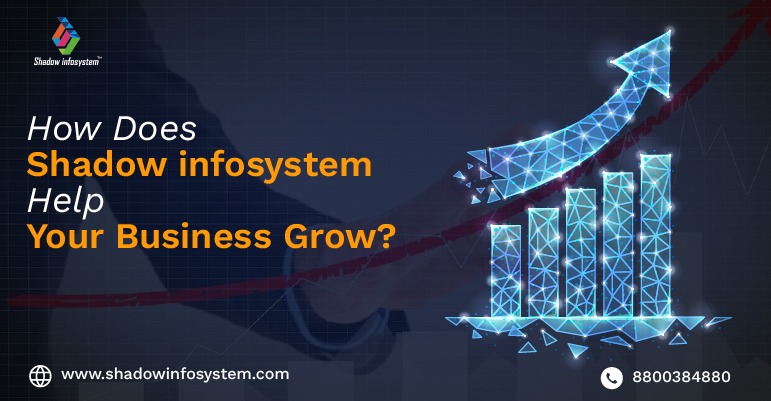 How Does Shadow infosystem Help Your Business Grow?